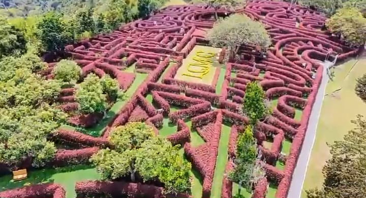 mil caminos 2 - Prensa Mercosur - Imprensa Mercosul El diario online ...